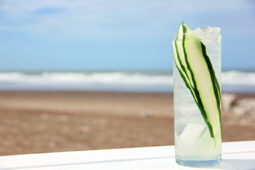 Inicio | Restinga London Dry Gin